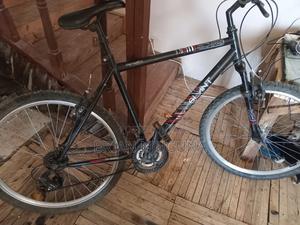 Apollo Slant Mens Mountain Bike - S, M, L Frames in Naivasha - Sports ...