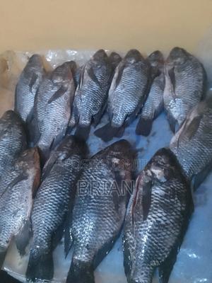 Fresh Kenyan Tilapia Fish in Juja - Meals & Drinks, Brian Nyagisera ...