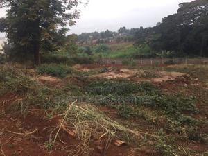 A Quarter Acre in Thindigua/Kasarini - Land & Plots for Sale ...