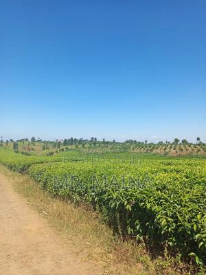 50 Acre Tea Farm in Ngorongo Kiambu in Ndumberi - Land & Plots for Sale ...