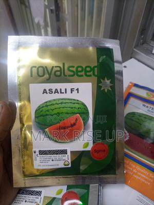 Asali Watermelon 5gms in Nairobi Central - Meals & Drinks, Mark Juma ...