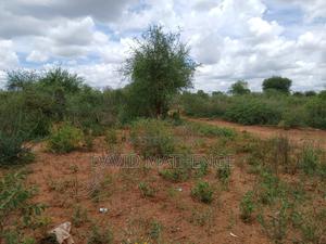 8 Acres and 4 Acres Ndiini Mutomo Constituency Kitui County in Mutomo ...